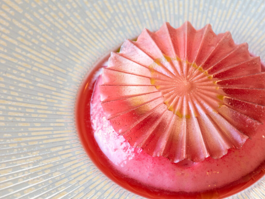 Geometric Disc Mold | MoldBrothers