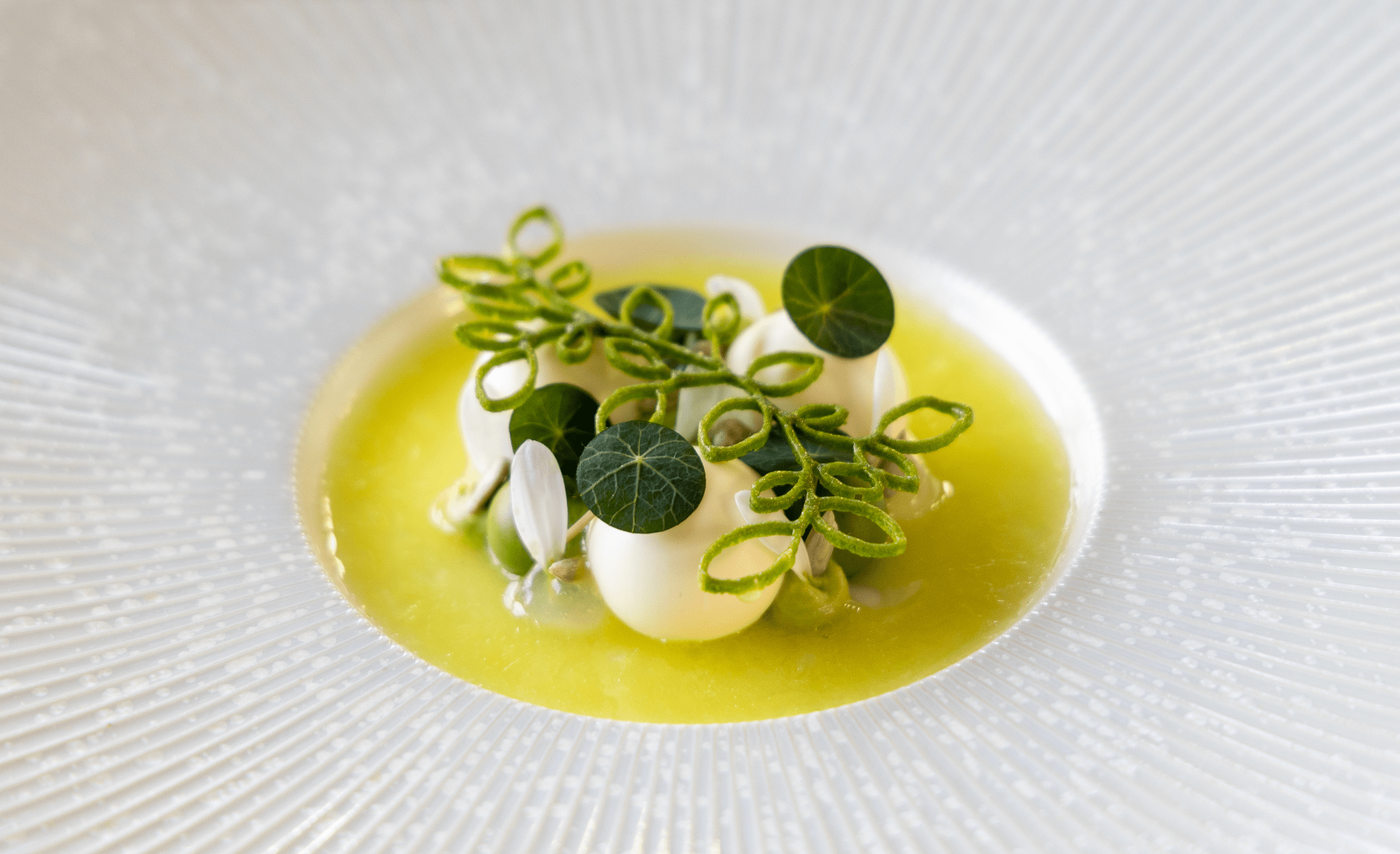 Sprout Tuille Mold | MoldBrothers