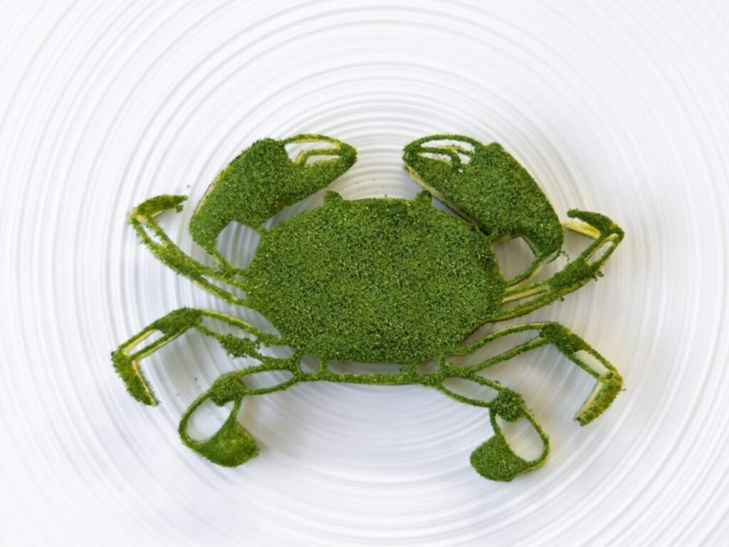 Fish Bone Tuille Mold | MoldBrothers