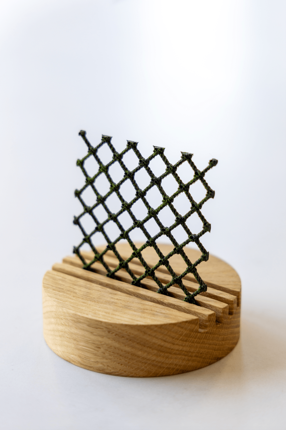 Crisp Holder | MoldBrothers