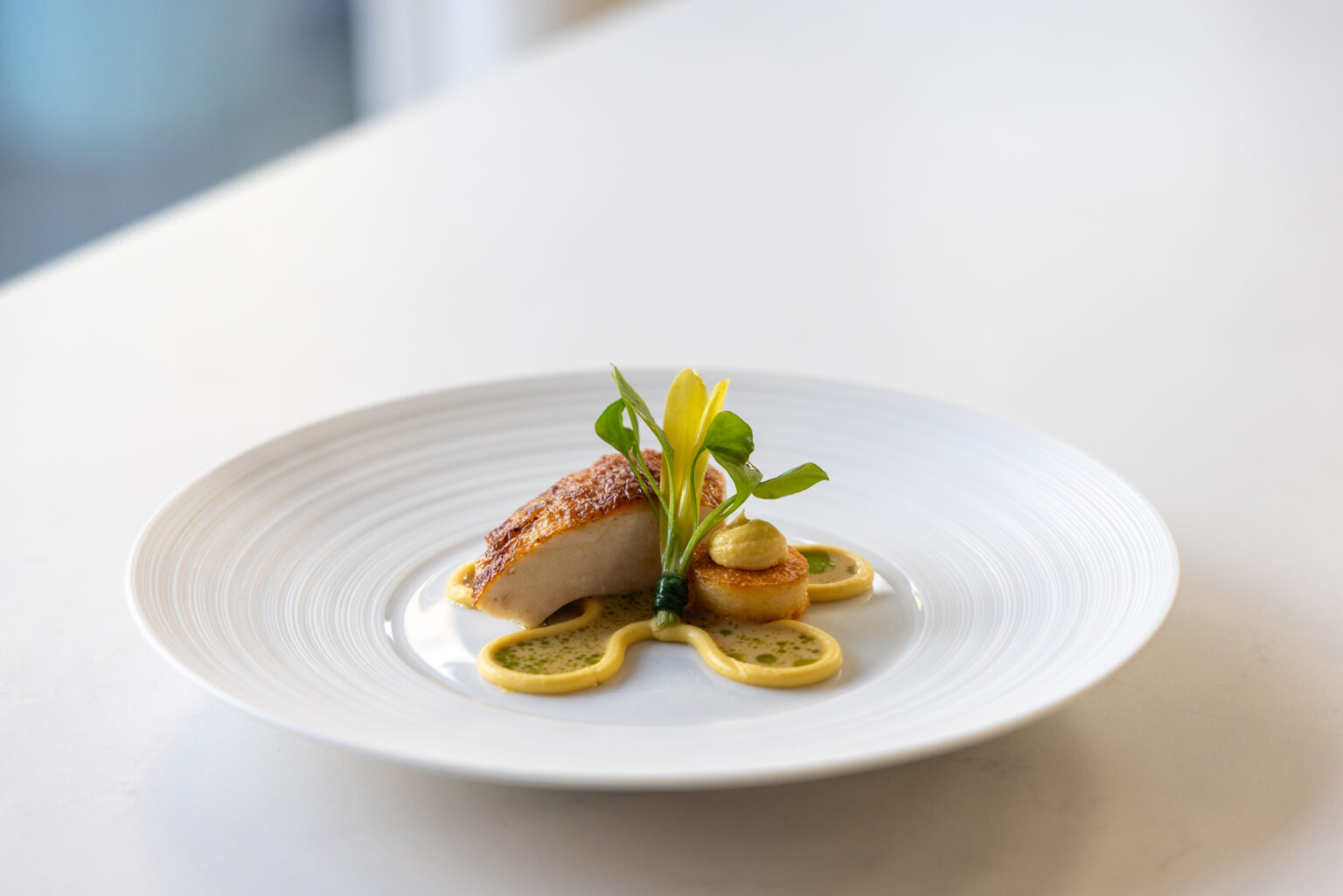 Webshop | MoldBrothers