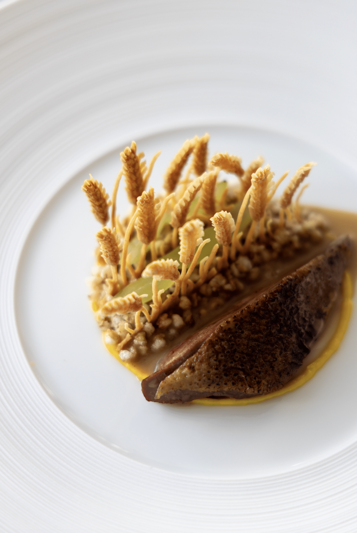Wheat Field Tuille Mold | MoldBrothers
