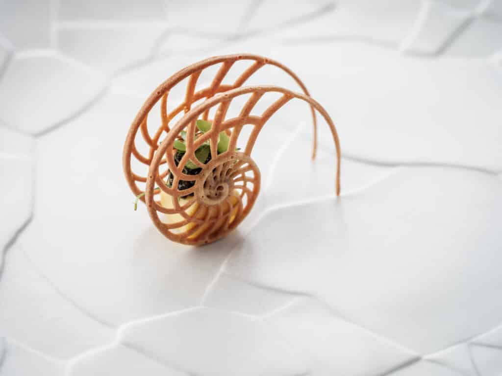 2D Molds – MoldBrothers