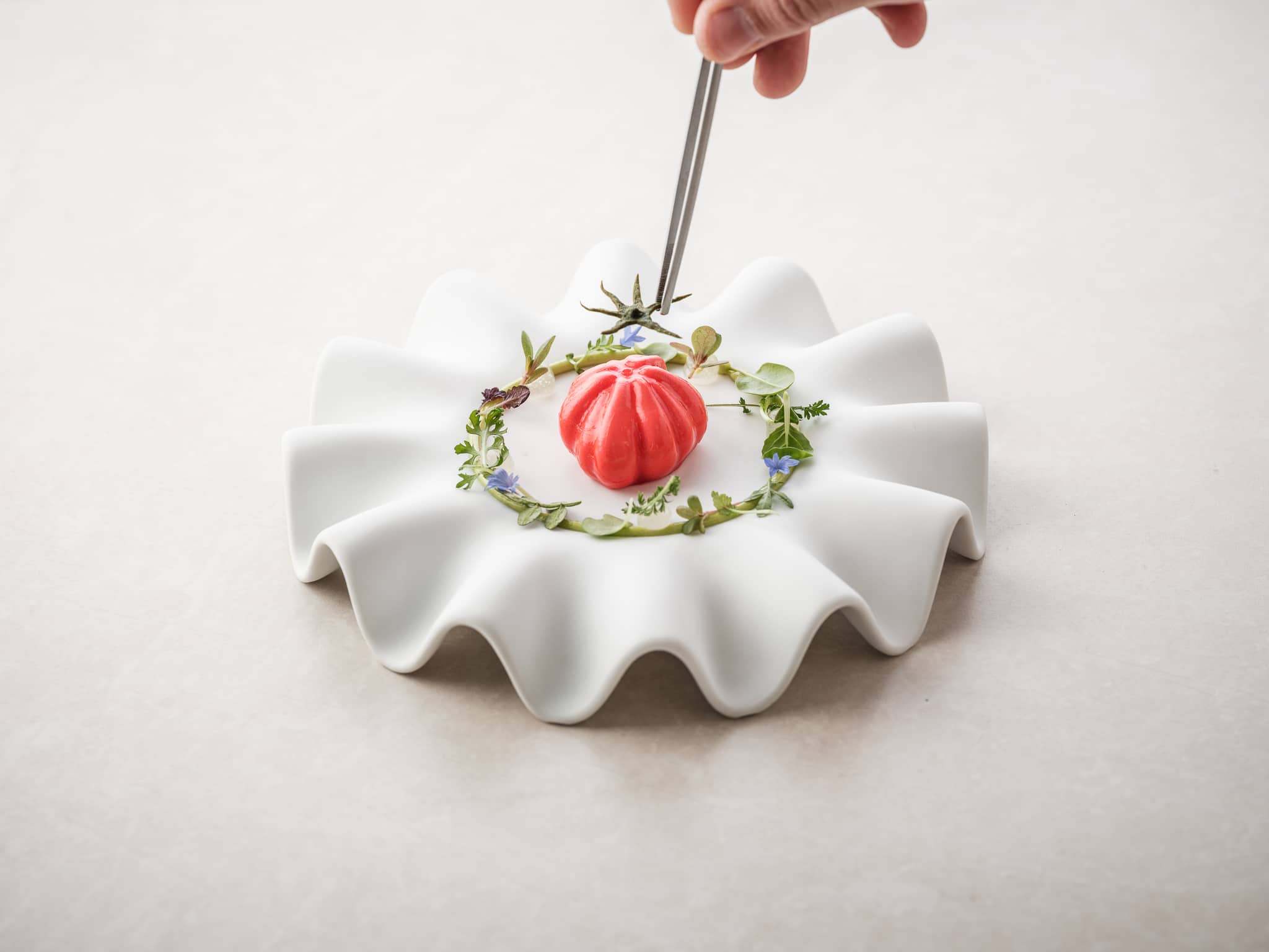 Tomato Molds | MoldBrothers